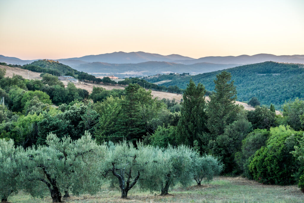 Sant Bani Ashram – Italy – Spiritual retreat centre for self-realisation through meditation ...
